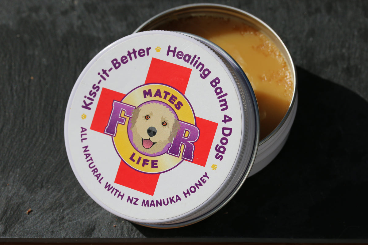 K9 Healing Balm - Kiss It Better – Diamond Pet Supplies