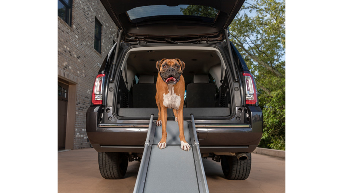 Happy Ride Telescoping Dog Ramp – Diamond Pet Supplies